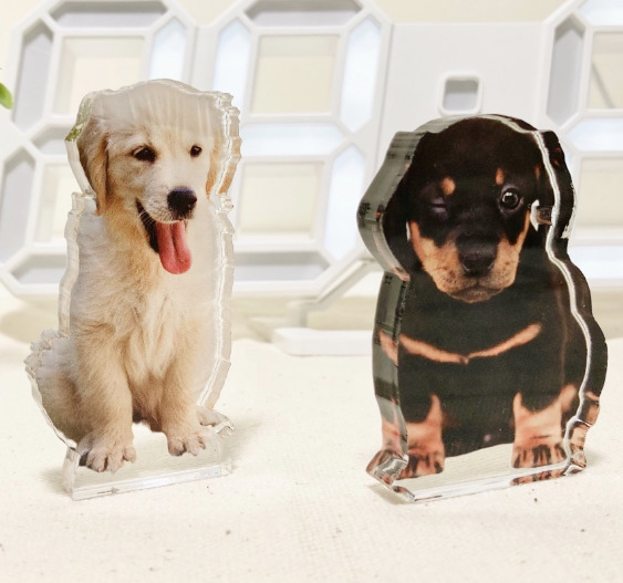 ACRY(アクリー)の作り方を8ステップで解説！口コミや評判は？ | HODOHODO